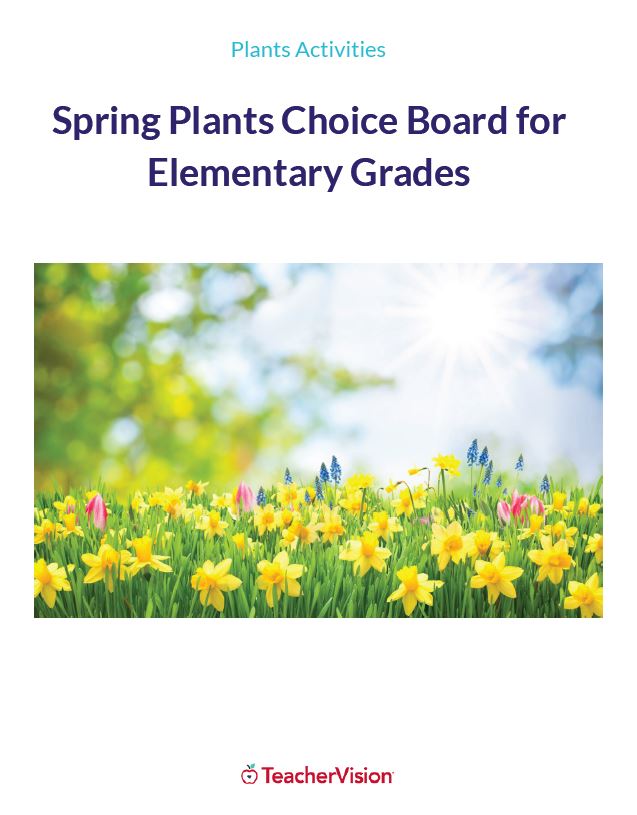 Spring Printables, Activities, & Lessons for Science Class (K-12 ...